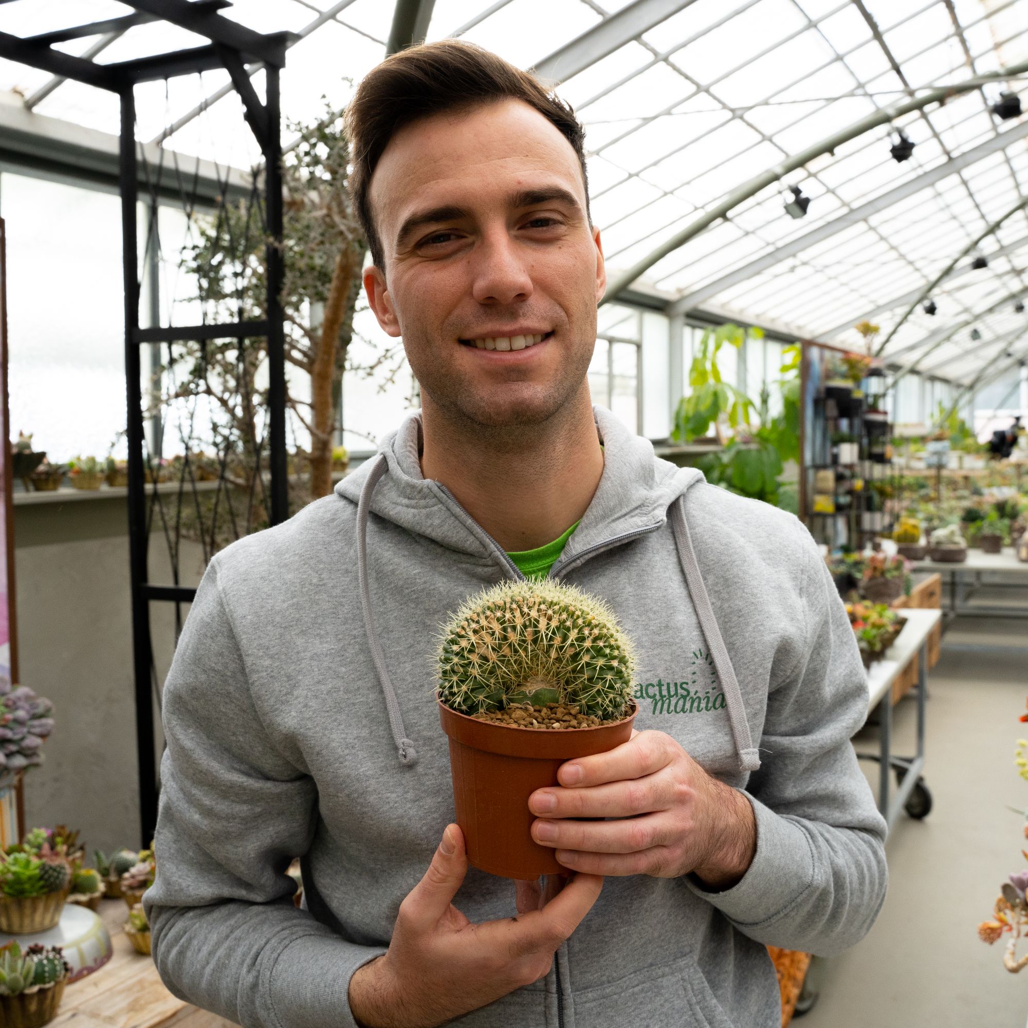 Echinocactus grusonii setispinus crestato vaso Ø 12